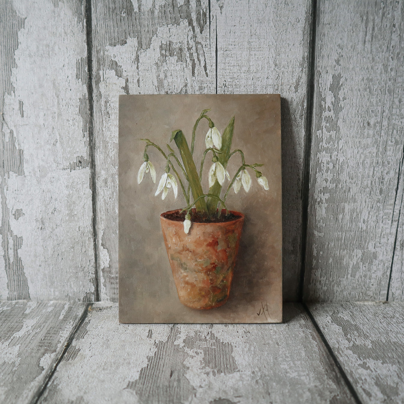 Original Oil Painting From The Potted Floral Collection 'Snowdrops' (u ...