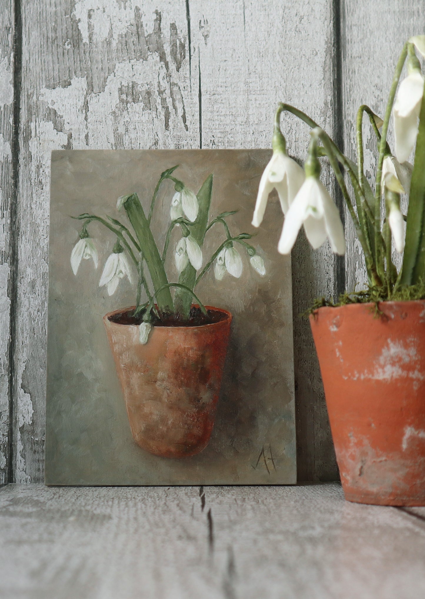 Original Oil Painting From The Potted Floral Collection 'Snowdrops' (u ...